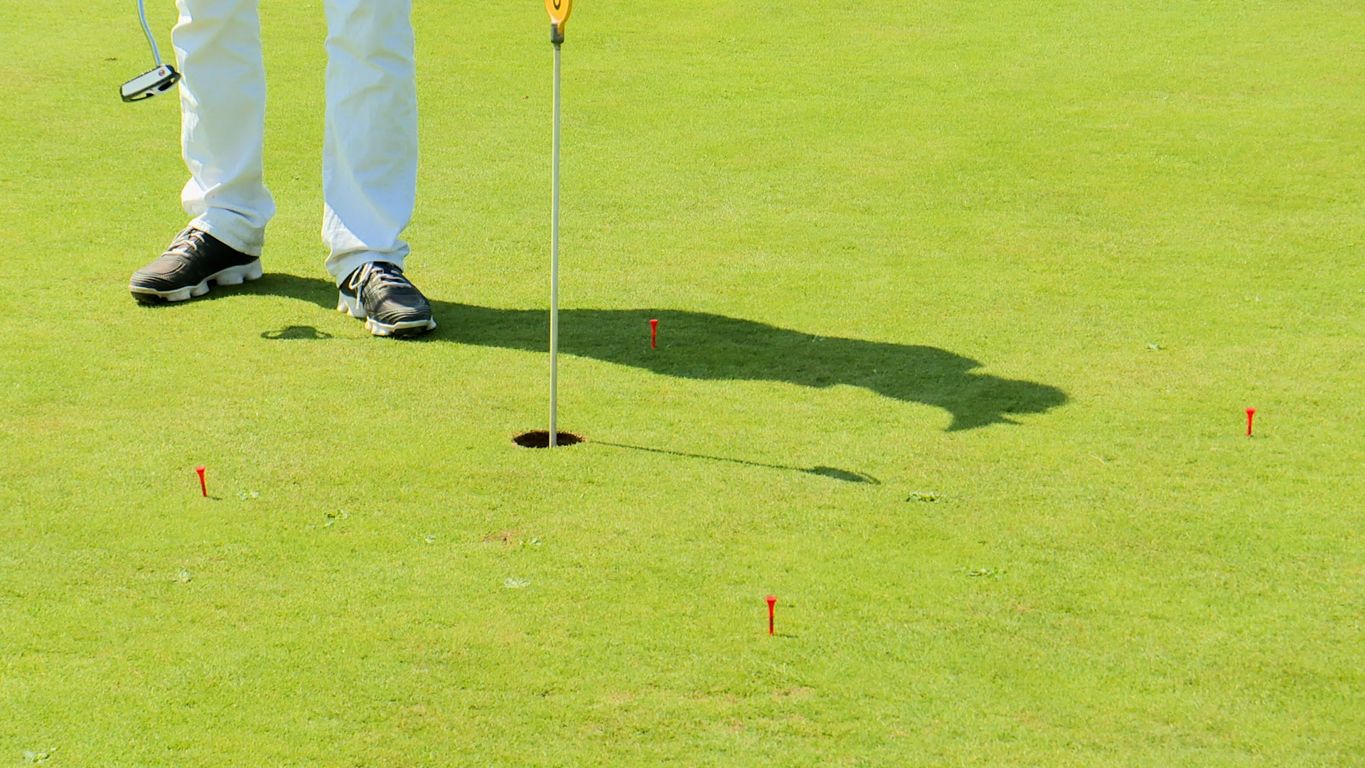 Putten: 2- tot 8-meterputt (#4) • Golf.nl