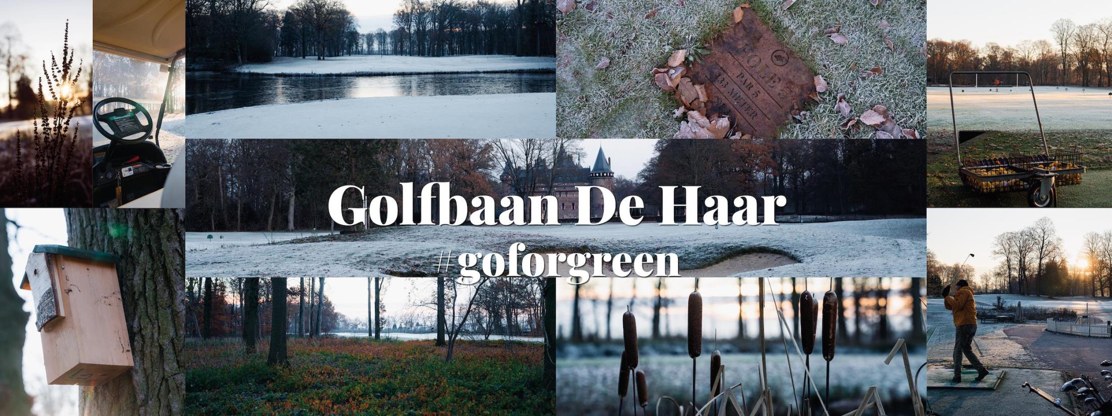 Golfclub De Haar: nieuwe 18-holesbaan in prachtige natuur • Golf.nl