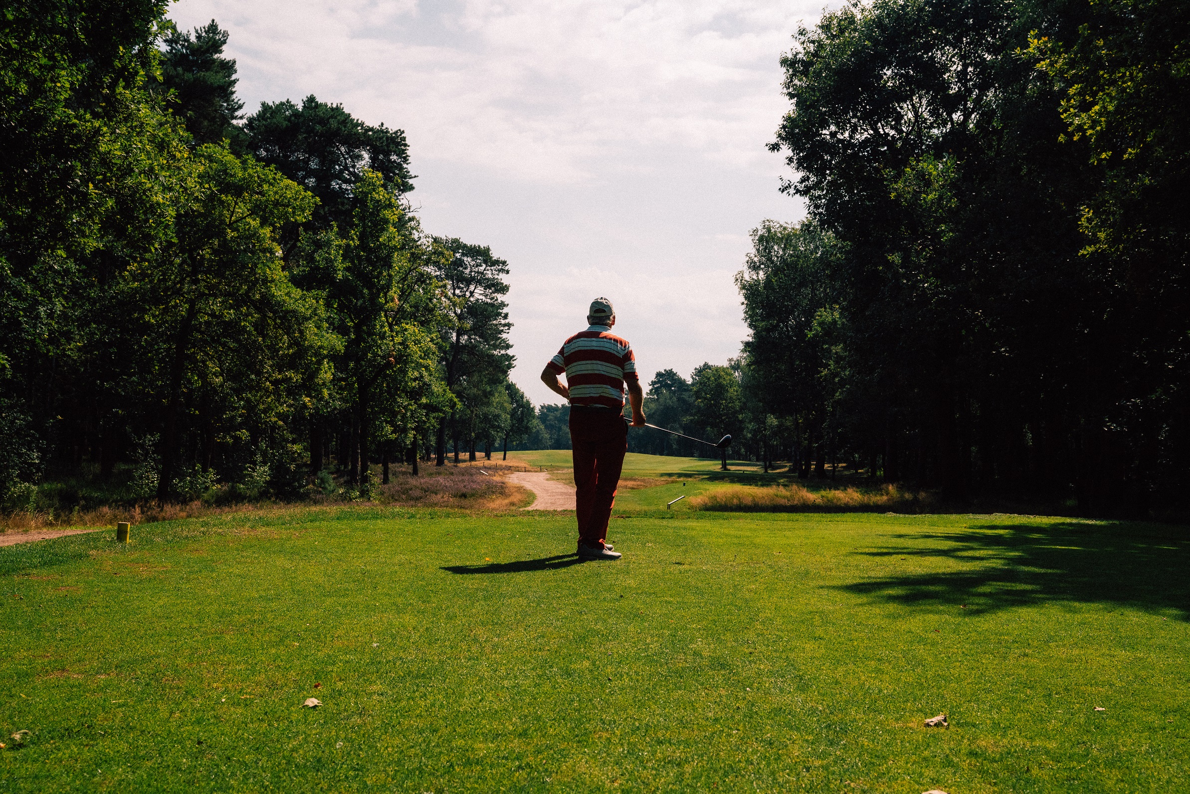 Het Woold in Vogelvlucht • Golf.nl
