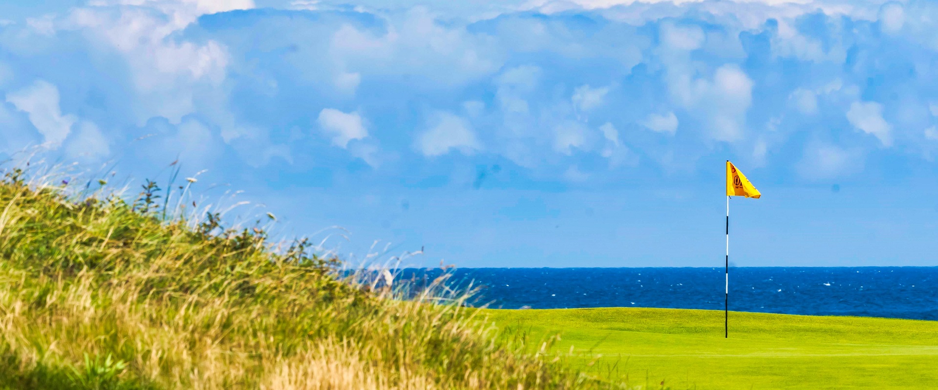 Wereld Handicap Systeem (WHS): hoe bereken je een WHS-handicap? • Golf.nl